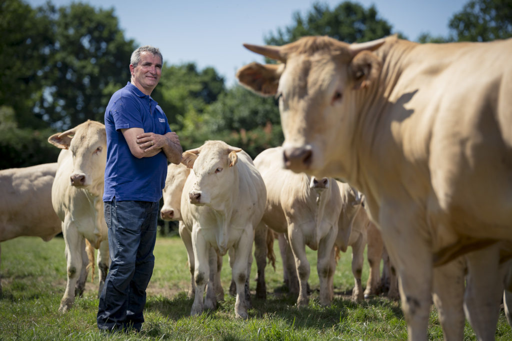 GAEC Martin Neveu | Bos Taurus